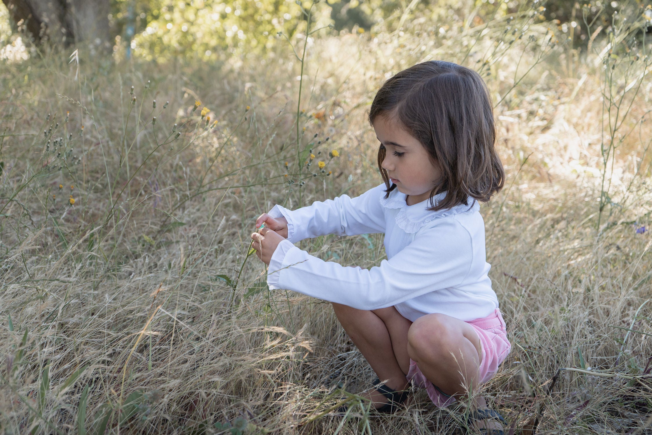 Tops – Little Andes